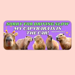 Sorry for Driving Slow, My Capybara is in the Car Funny Cute Gen Z ...