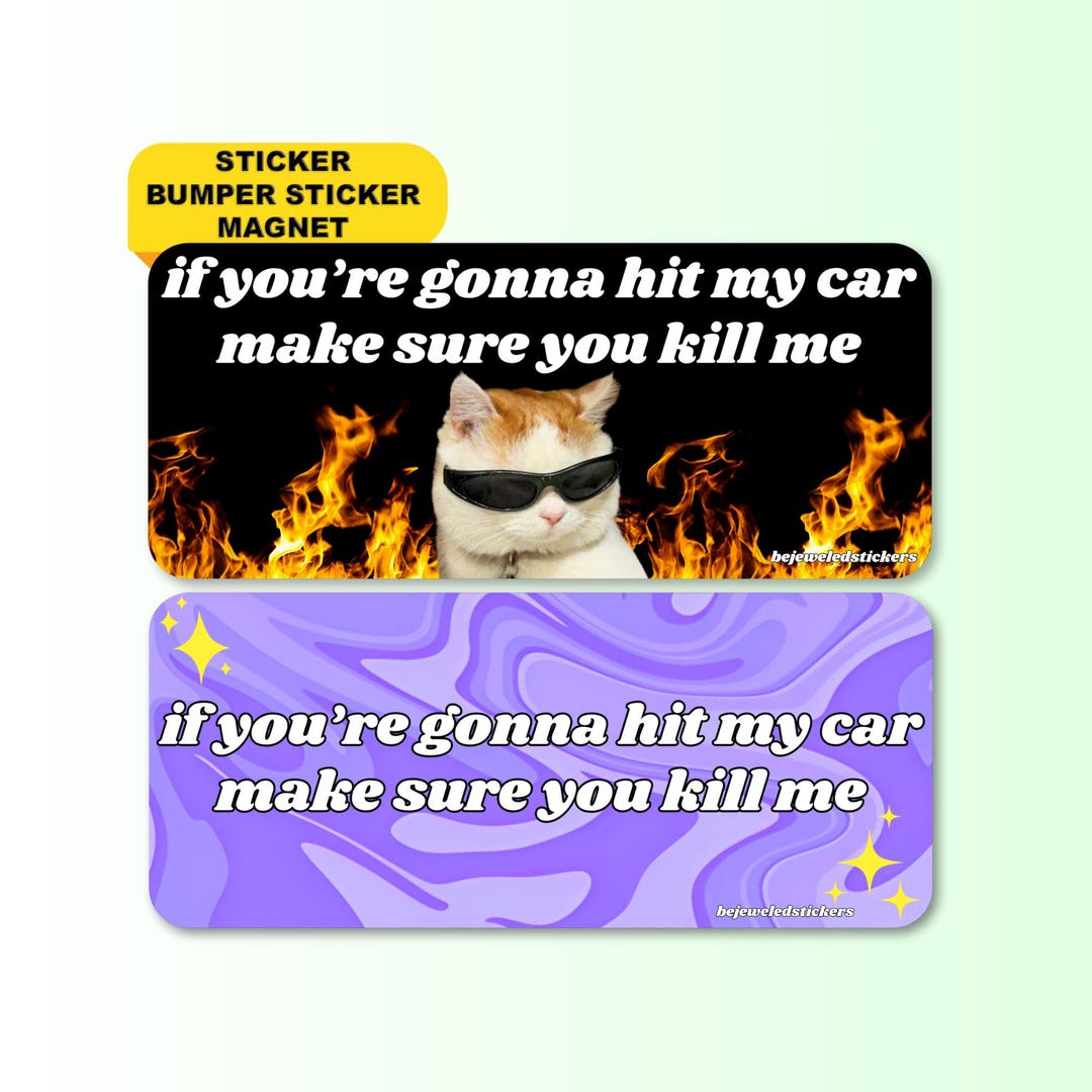 If You're Gonna Hit My Car Make Sure You Kill Me | Funny Unhinged Meme ...