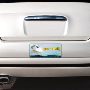 Sad Yeehaw | Sad Cute Cowboy Cat Gen Z Meme Sticker, Bumper Sticker ...