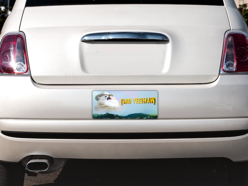 Sad Yeehaw | Sad Cute Cowboy Cat Gen Z Meme Sticker, Bumper Sticker ...