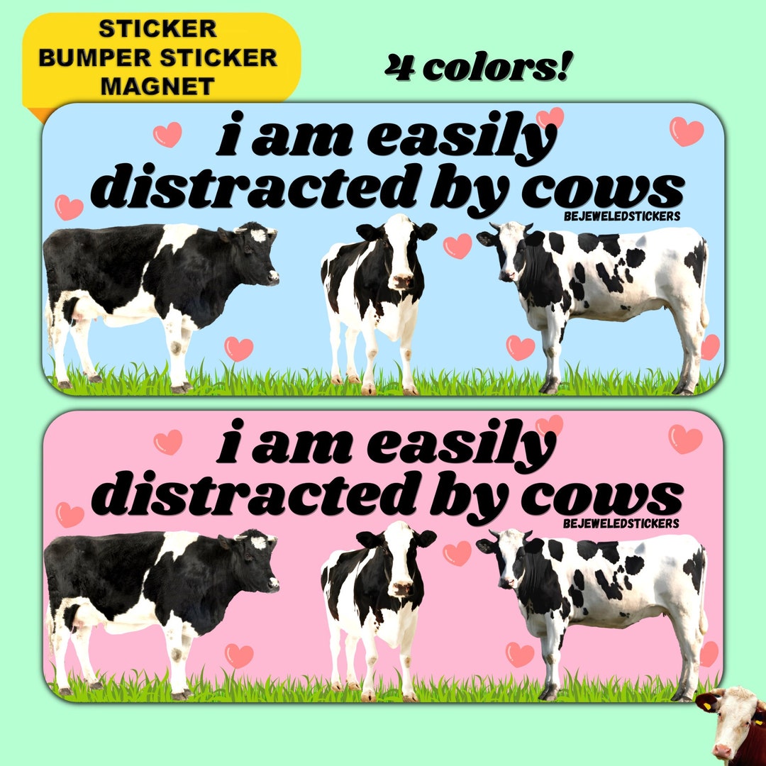 I Am Easily Distracted by Cows Funny Sticker, Bumper Sticker and Magnet ...