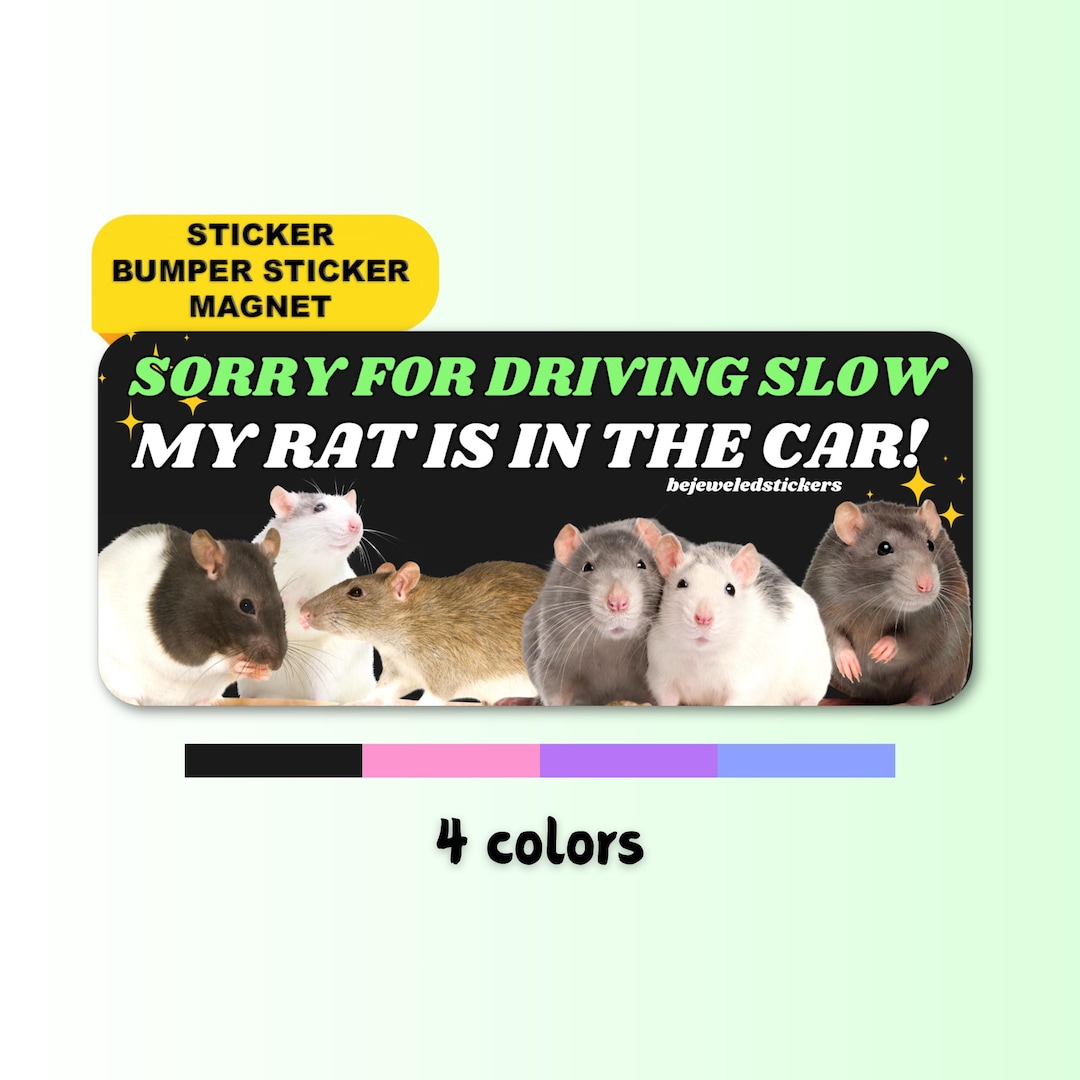 Sorry for Driving Slow, My Rat is in the Car! Funny Meme Gen Z Sticker ...