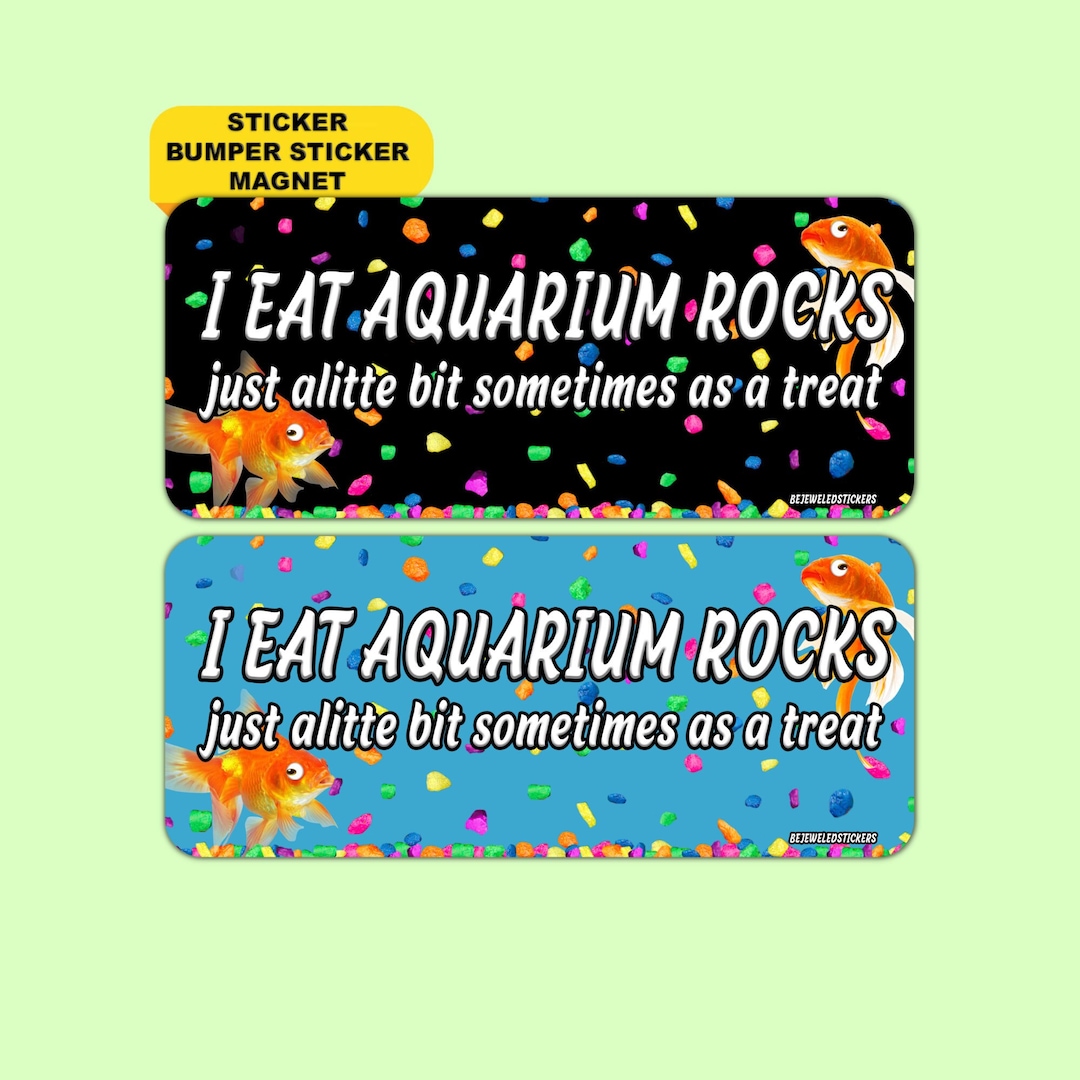 I Eat Aquarium Rocks, Just A Little Bit Sometimes as A Treat | Funny ...