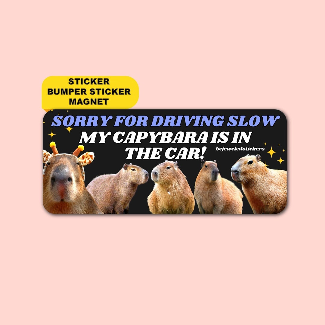 Sorry for Driving Slow, My Capybara is in the Car Funny Cute Gen Z ...