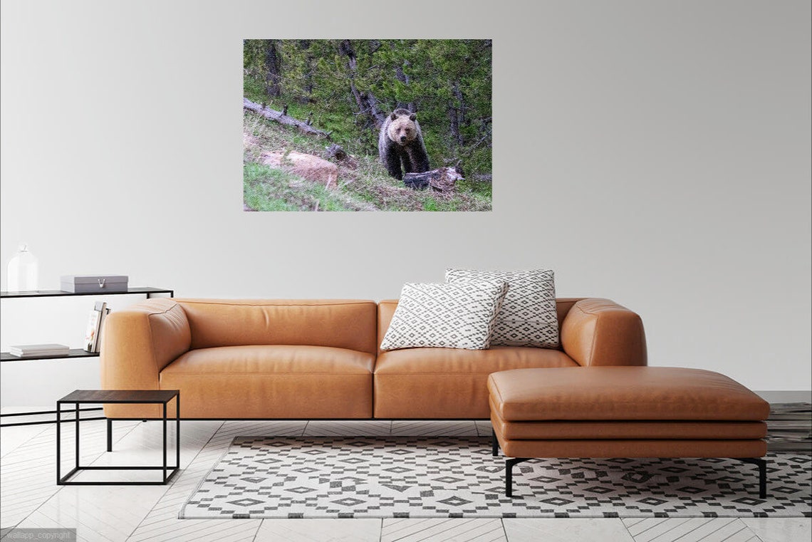 Yellowstone Grizzly Bear on Metal - Etsy