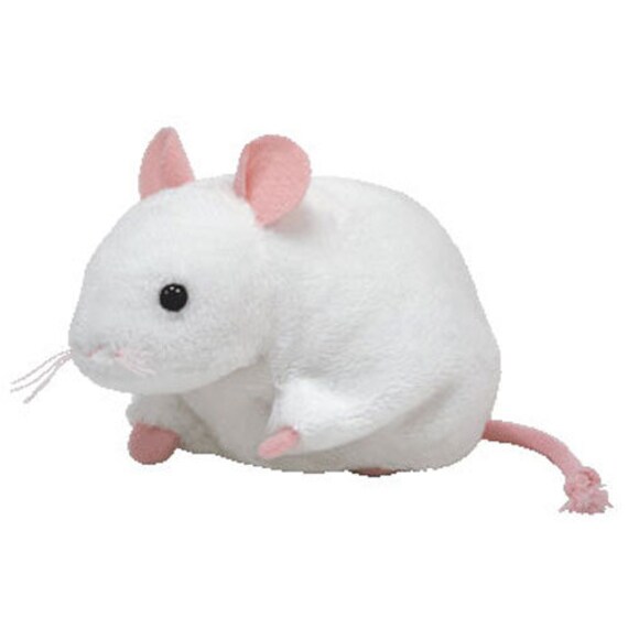 Baby White Mouse