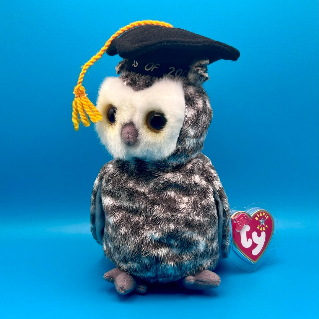 TY Beanie Baby SMART the 2001 Owl 7 Inch - Etsy
