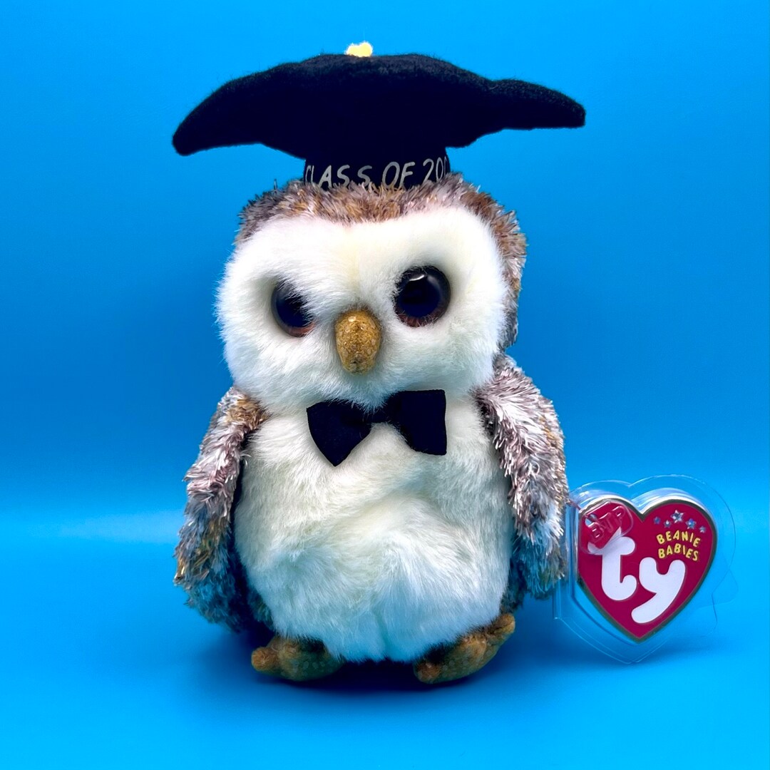 TY Beanie Baby - SMARTER the 2002 Owl (6.5 Inch) - Etsy