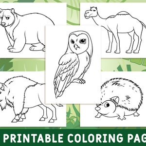 42 Printable Wild Animals Coloring Pages for Kids, Colouring Book ...