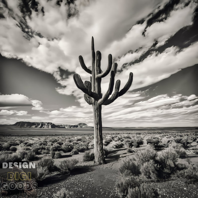 Vintage Landscape Photography 'timeless Horizon' - Etsy