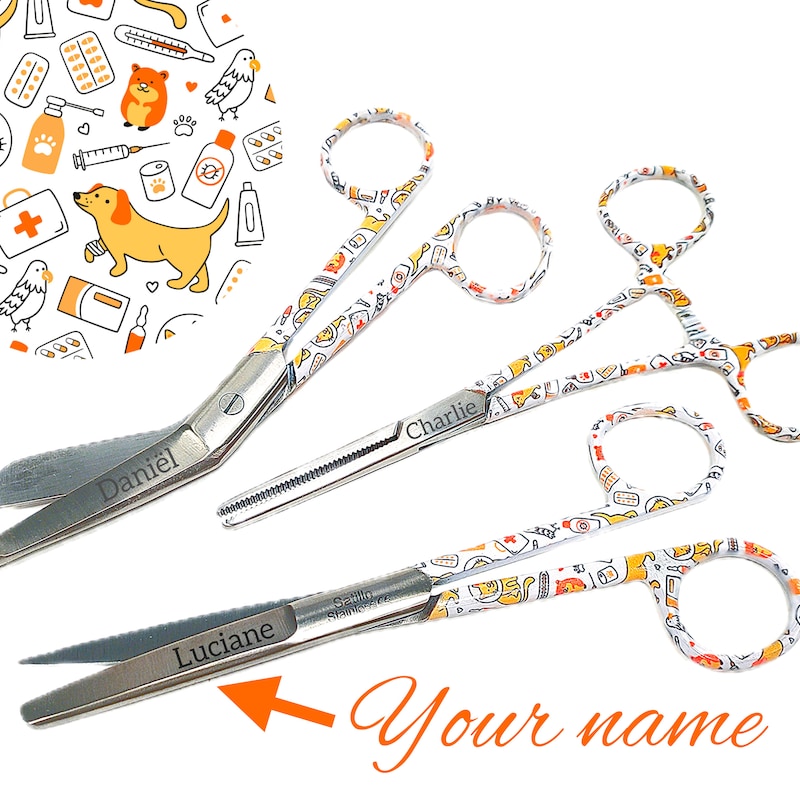 Scissors Nurse Personalised - Etsy UK