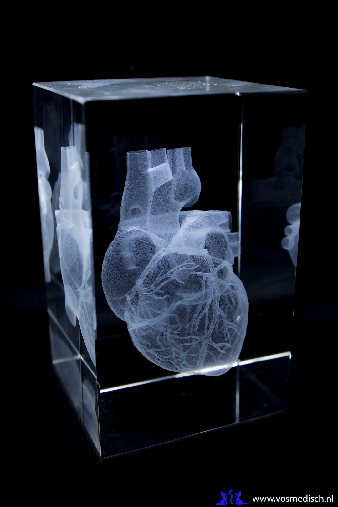 Anatomy Model Human Heart 3D Glass Block Nurse Gift/ Doctor Gift ...