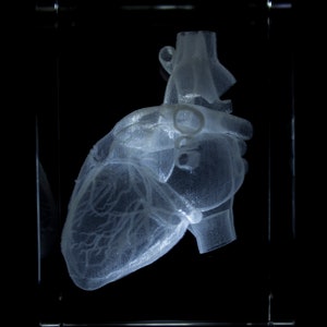 Anatomy Model Human Heart 3D Glass Block Nurse Gift/ Doctor Gift ...