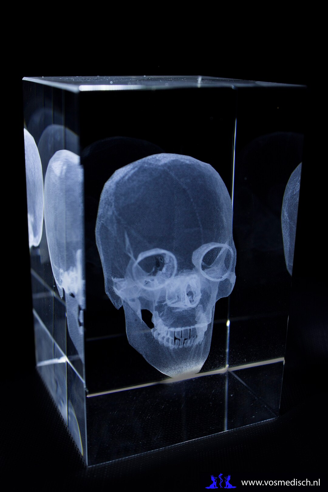 Anatomy Model Skull - 3D Glass Block - Nurse Gift/ Doctor Gift ...