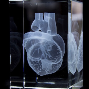 Anatomy Model Human Heart 3D Glass Block Nurse Gift/ Doctor Gift ...