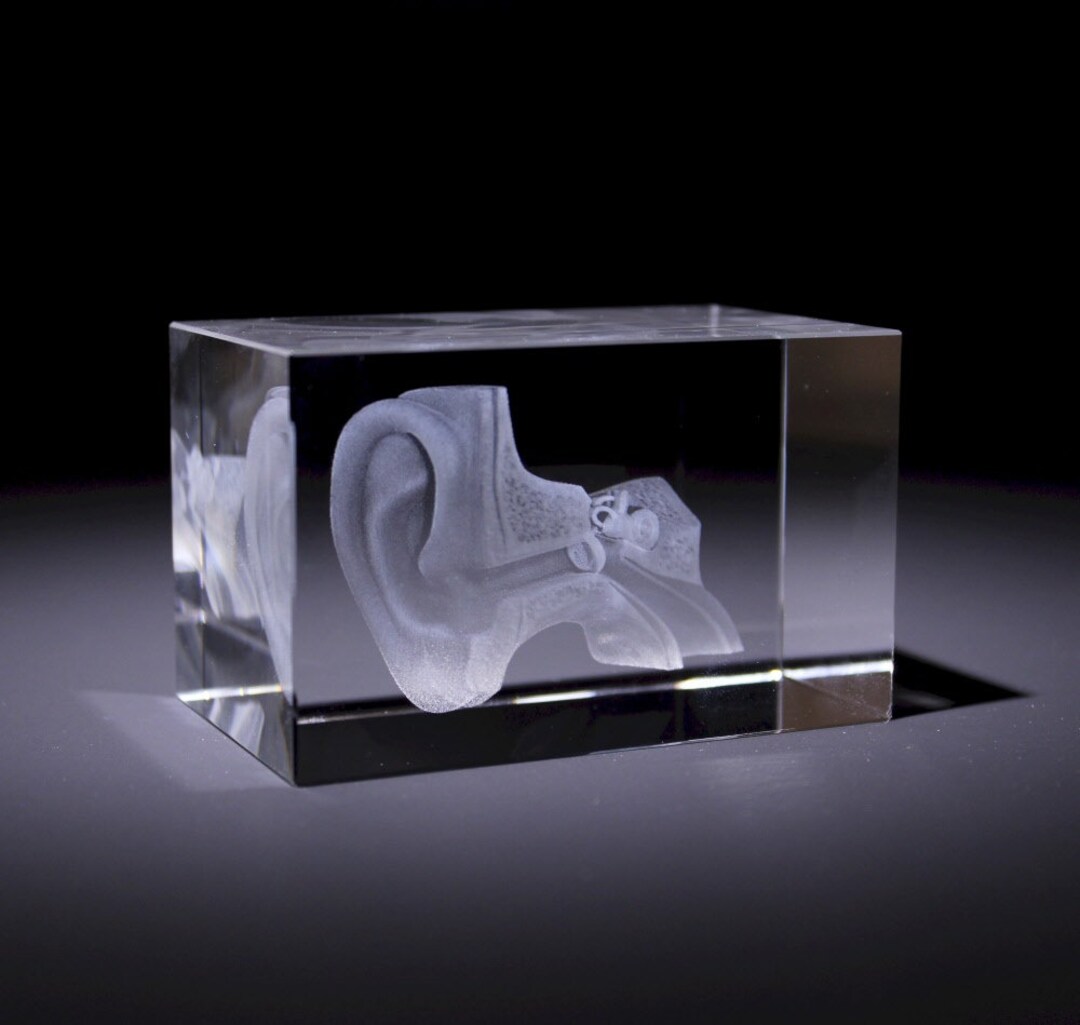 Anatomy Model of the Ear in 3D Glass Block - ENT Doctor Gift / Doctor ...
