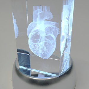 Anatomy Model Human Heart 3D Glass Block Nurse Gift/ Doctor Gift ...