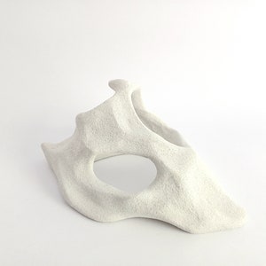 Organic Bone Form Sculpture - Etsy