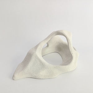 Organic Bone Form Sculpture - Etsy