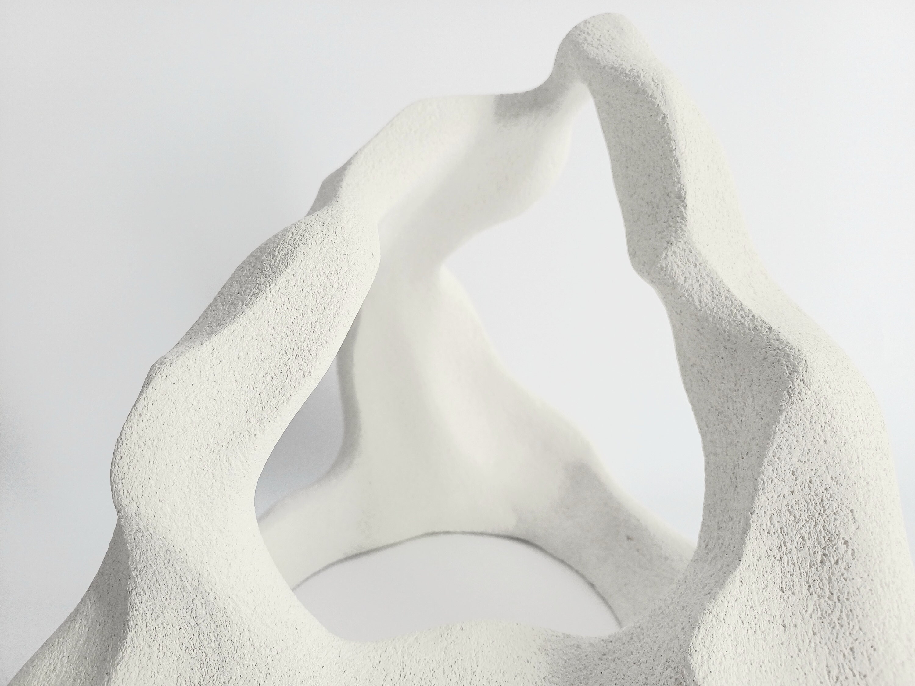 Organic Bone Form Sculpture - Etsy