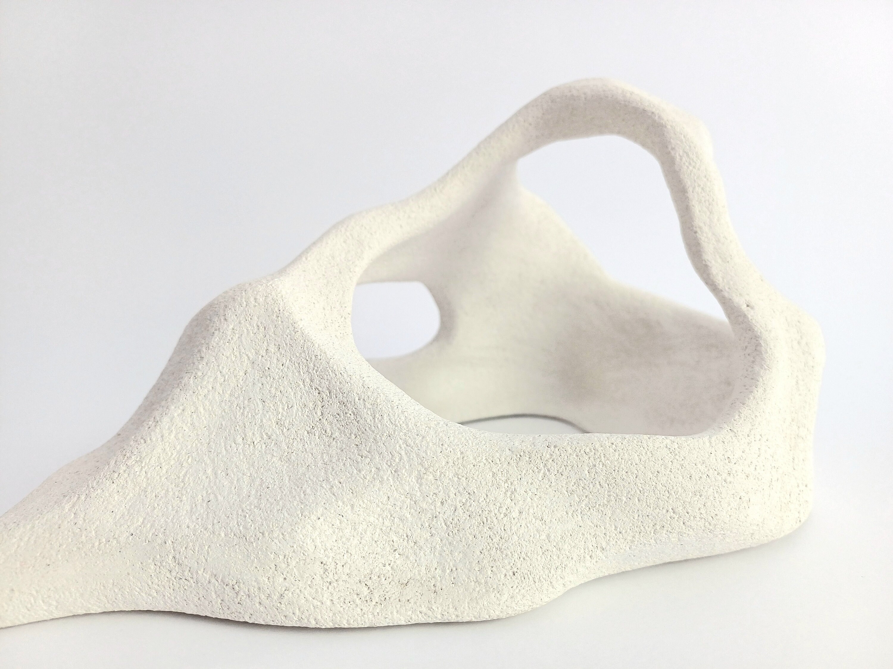 Organic Bone Form Sculpture - Etsy