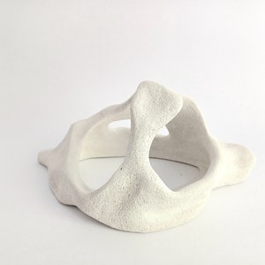 Organic Bone Form Sculpture - Etsy
