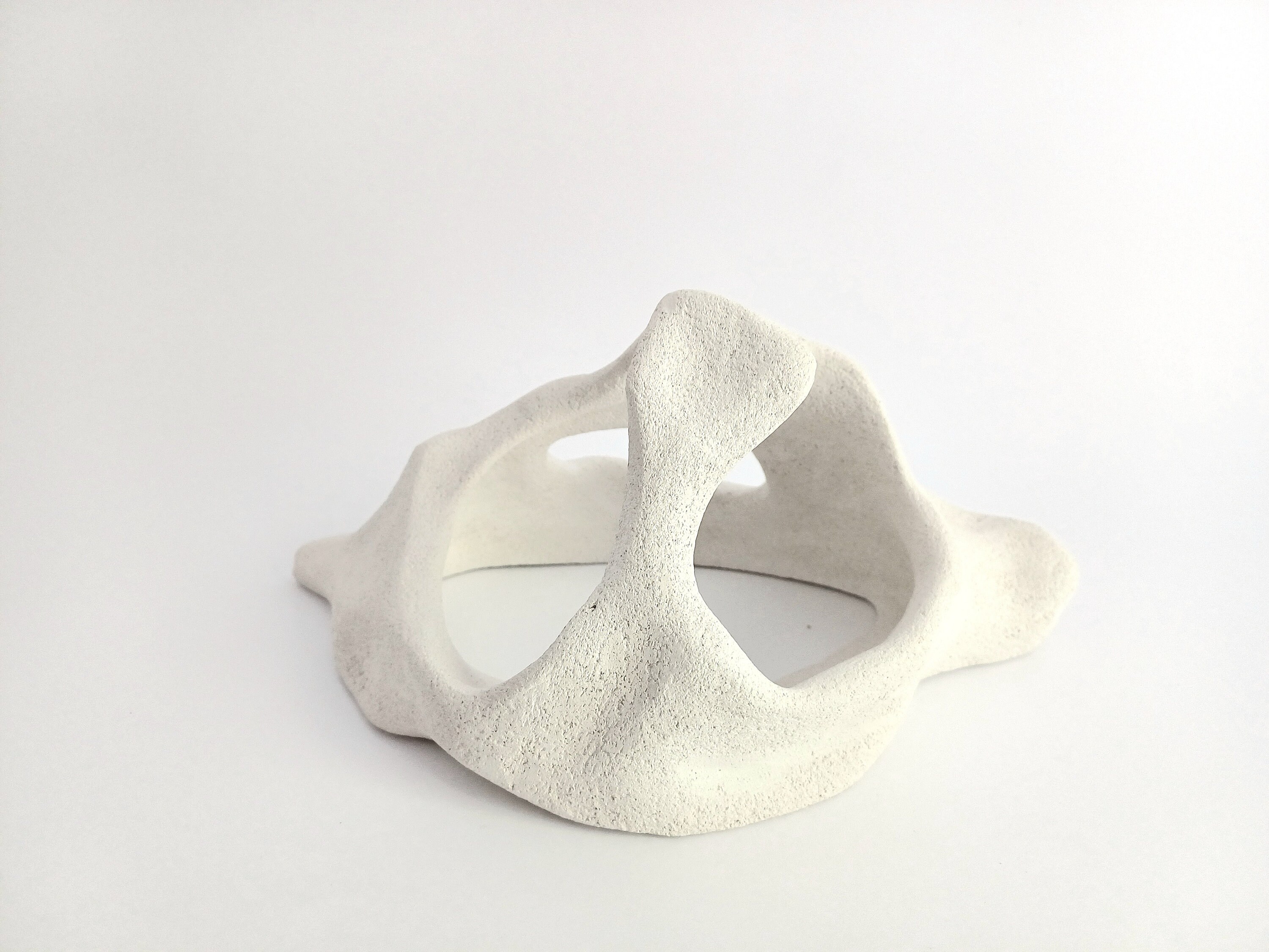 Organic Bone Form Sculpture - Etsy