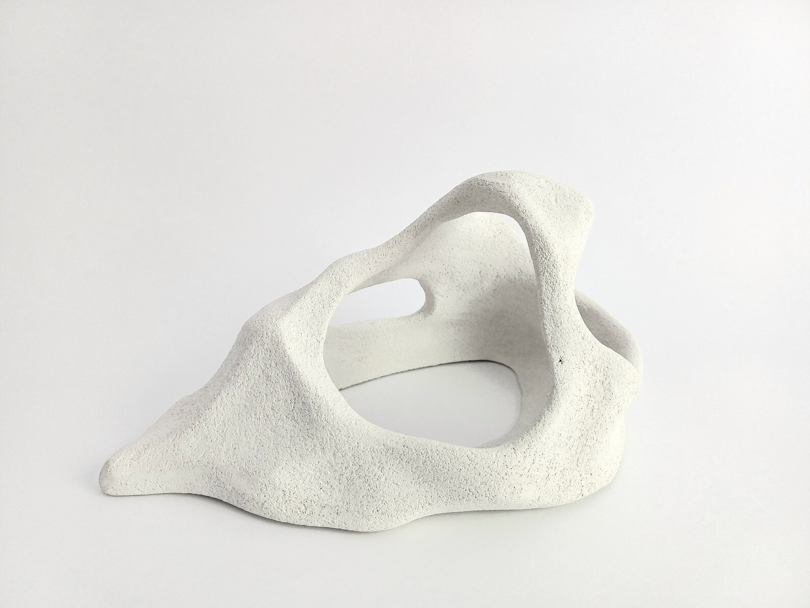 Organic Bone Form Sculpture - Etsy