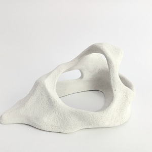 Organic Bone Form Sculpture - Etsy