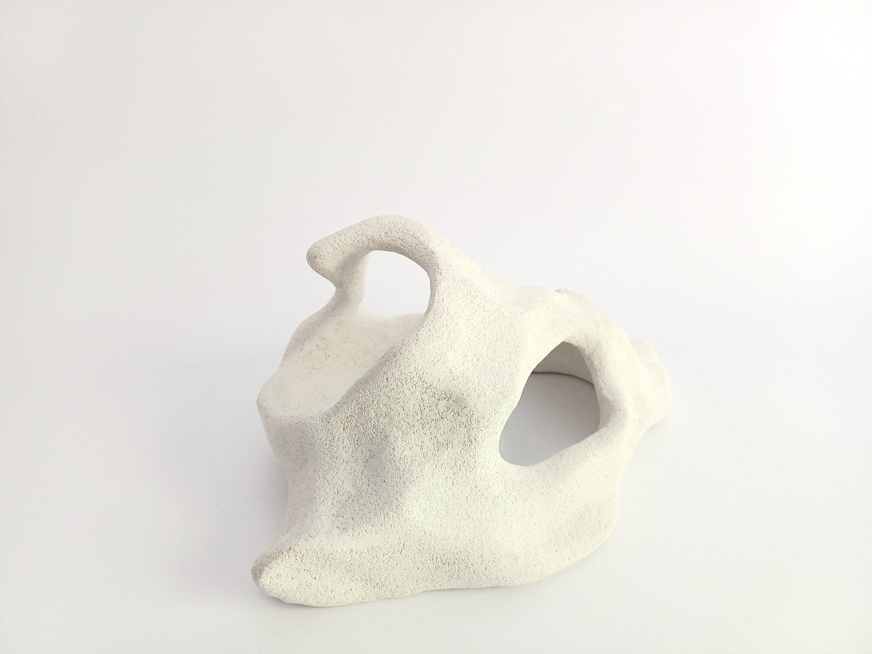 Organic Bone Form Sculpture - Etsy