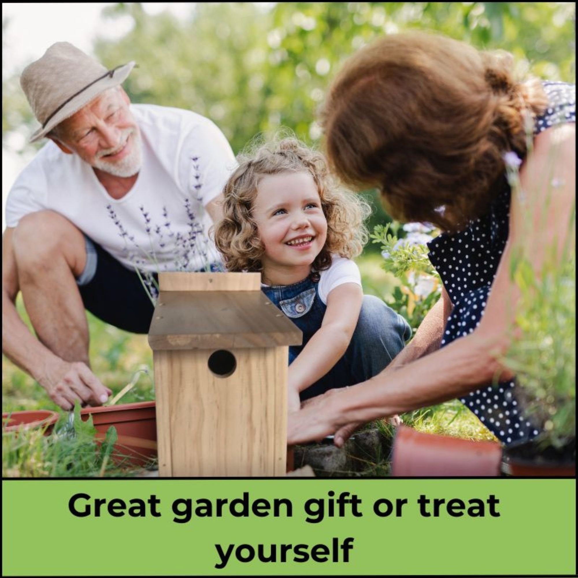 DIY Birdhouse Kit: Build Your Own Nest Box, Woodworking Project - Etsy UK