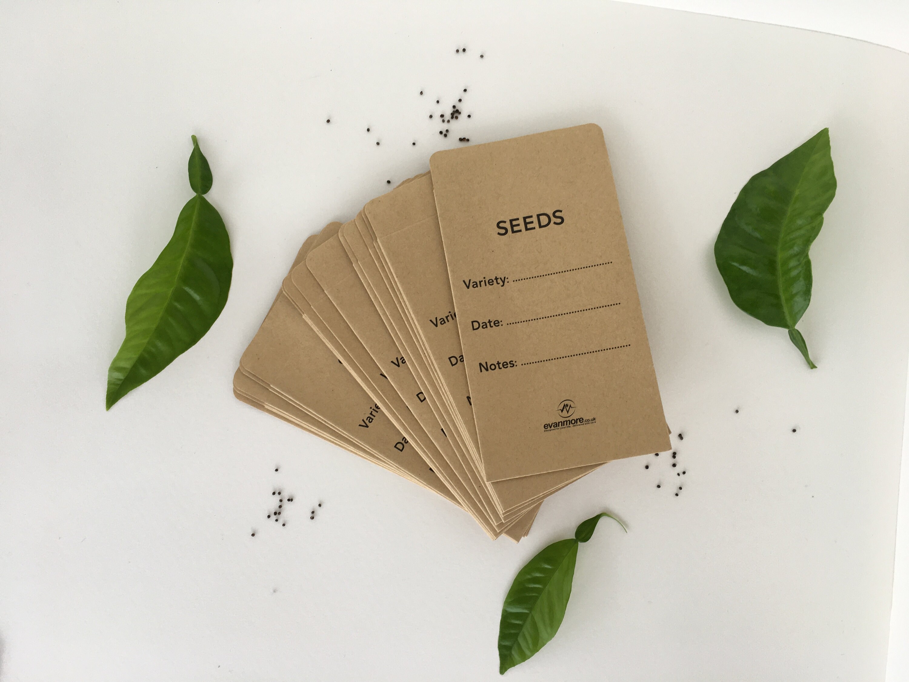 Seed Storage Tin Garden Seeds Packet Organiser Metal Box Container Gift ...