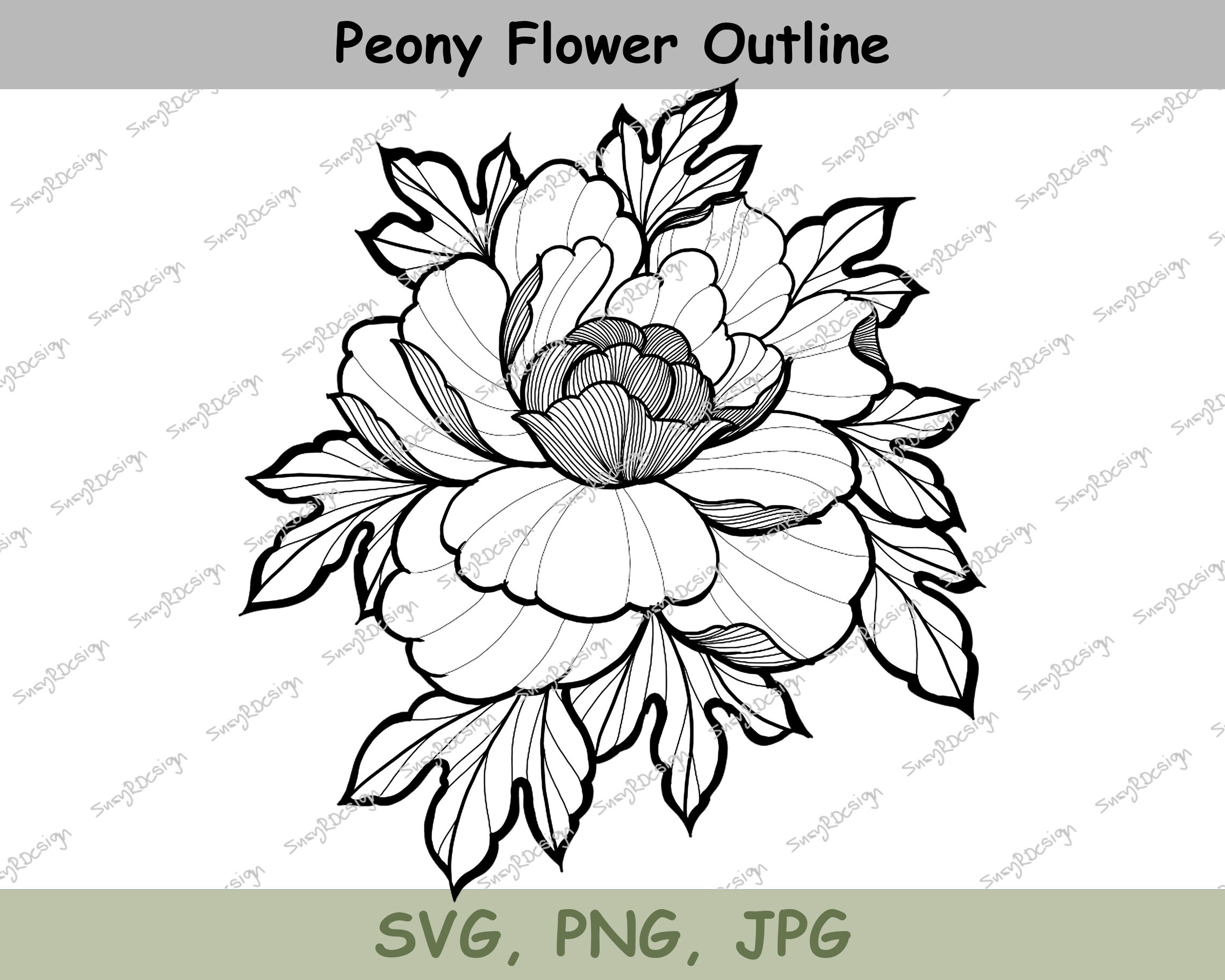 Japanese Peony Outline