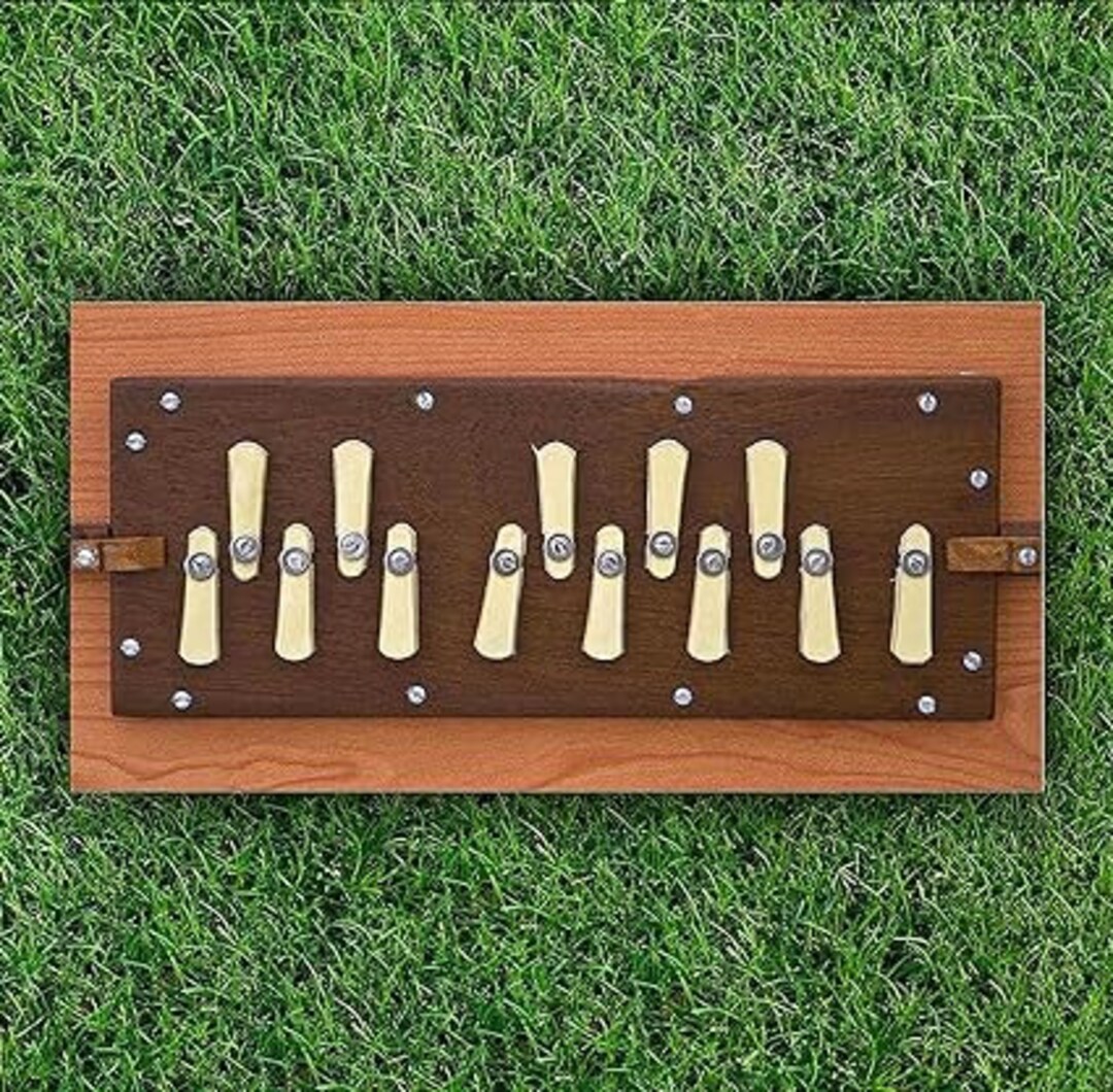 Shruti Box Large and Small Pure Teak Wood Sur Peti With Form - Etsy