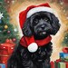 Cavapoo Christmas Cards Pack of 10 Greeting Cards (standard Envelopes ...