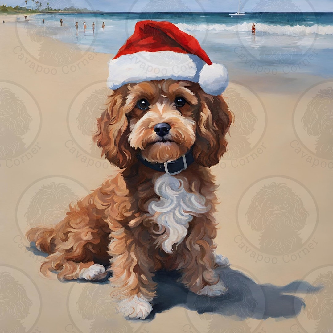 Ruby Cavapoo Christmas on the Beach Pack of 10 Greeting Cards With ...