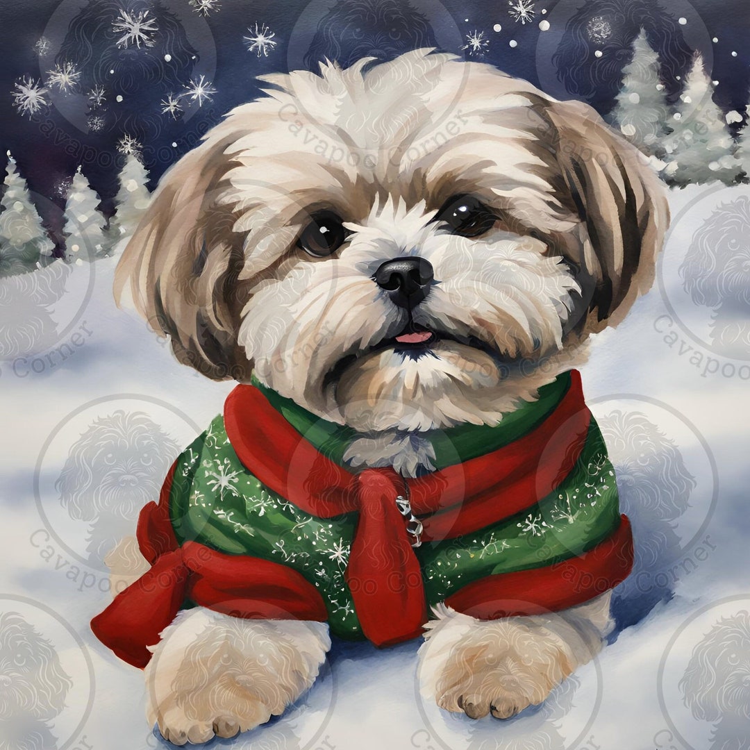 Shih Poo in the Snow Pack of 10 Greeting Cards With Standard Envelopes ...
