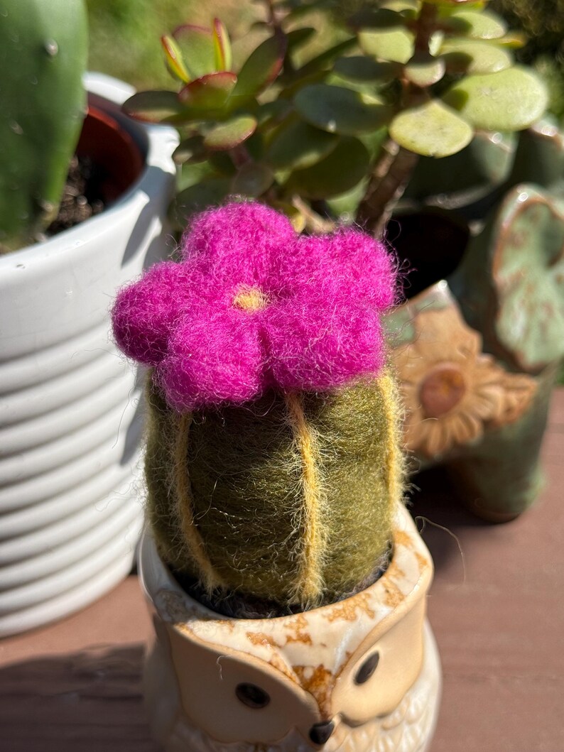 Needle Felted Cactus - Etsy