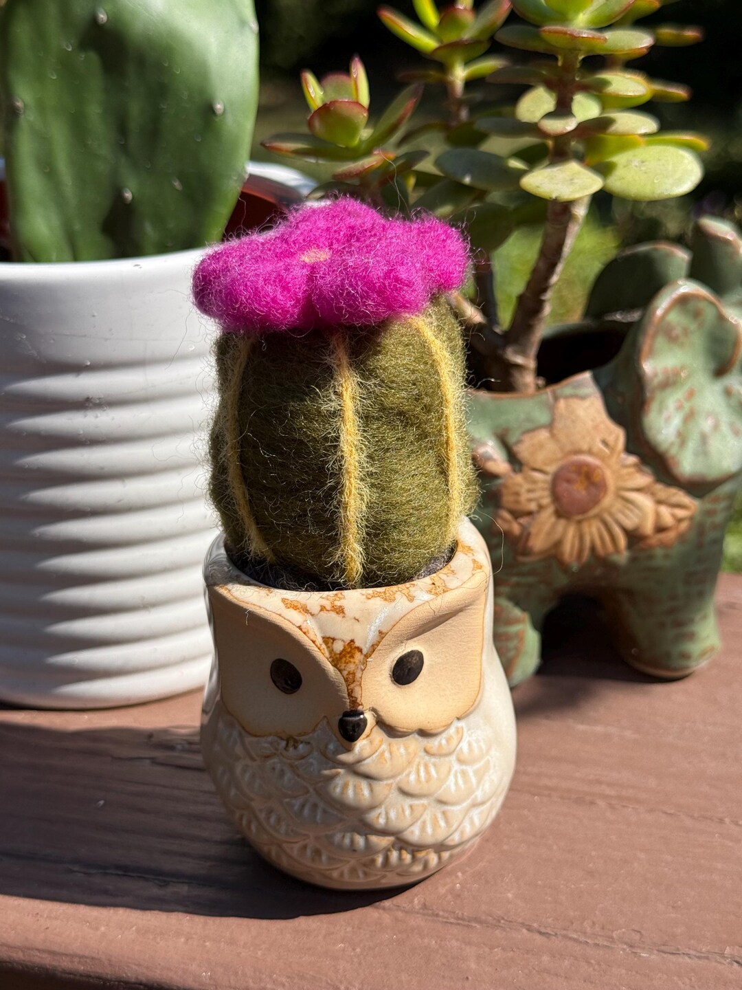 Needle Felted Cactus - Etsy