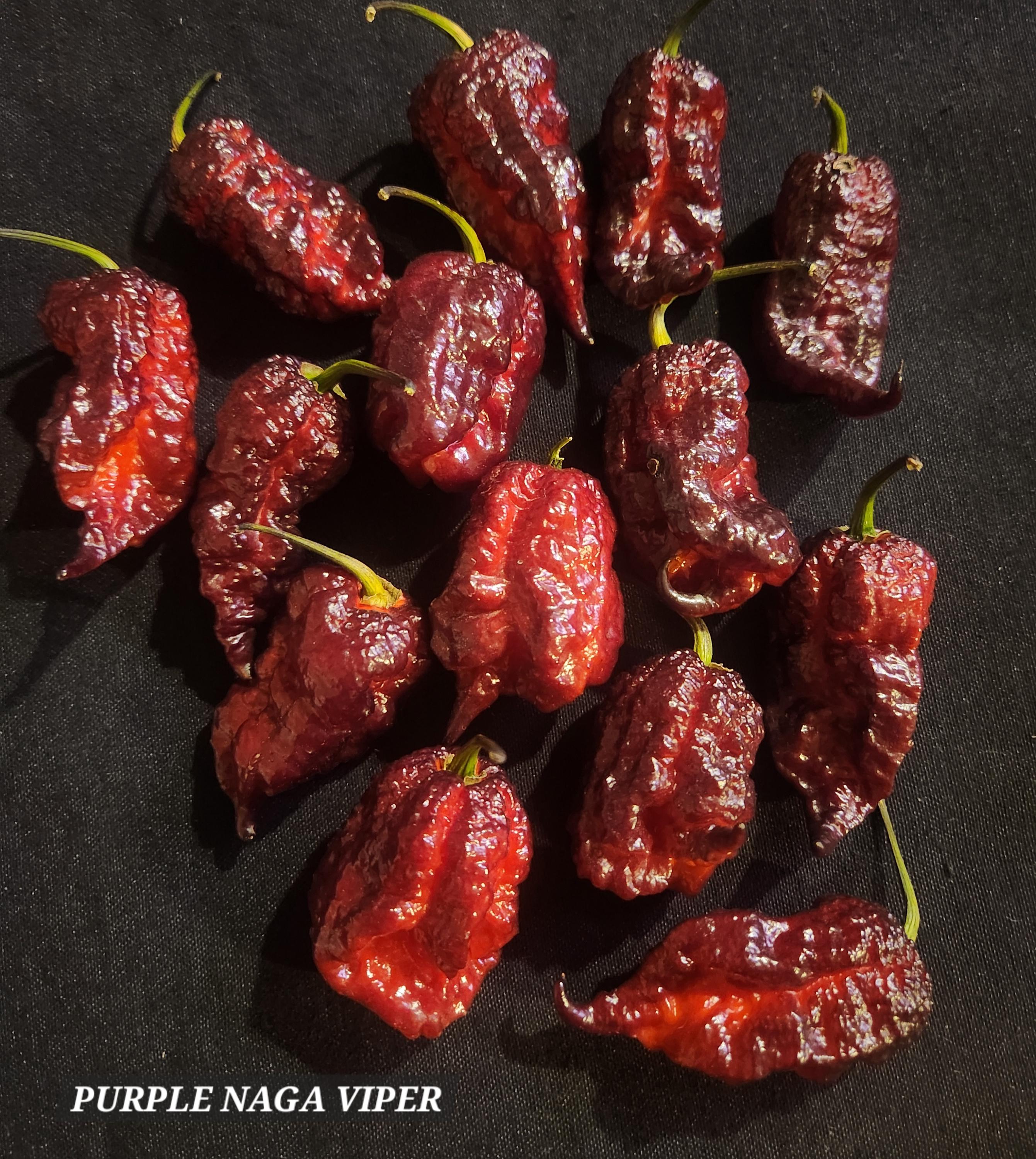 Purple Naga Viper Pepper Seeds - Etsy