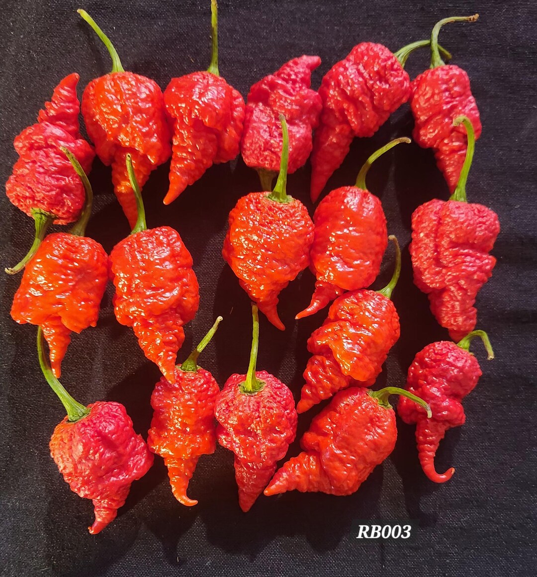 RB003 Pepper Seeds - Etsy