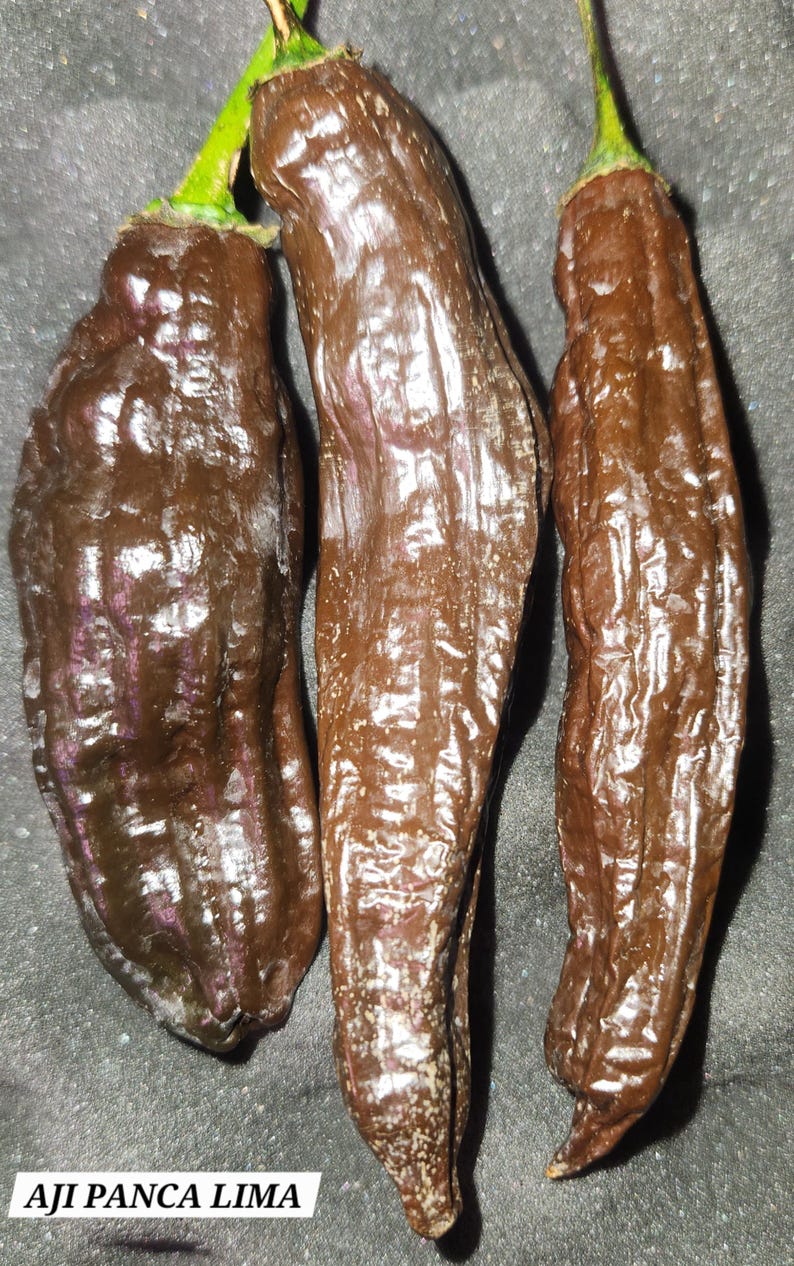 Aji Panca Lima Pepper Seeds - Etsy