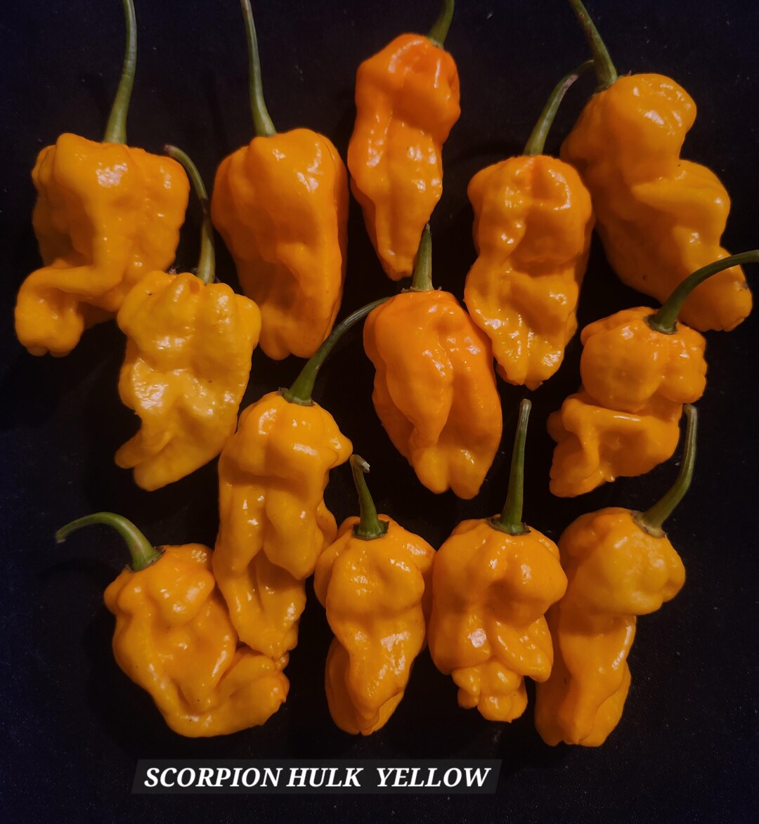 Scorpion Hulk Yellow Pepper Seeds - Etsy