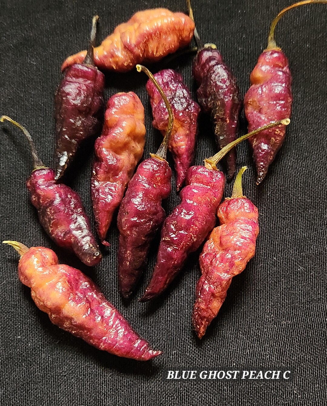 Blue Ghost Peach Pepper Seeds - Etsy