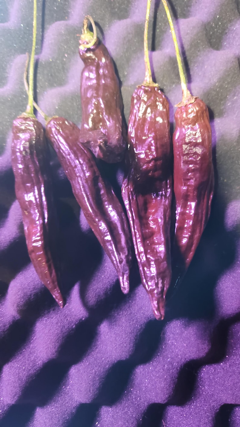Aji Panca Lima Pepper Seeds - Etsy