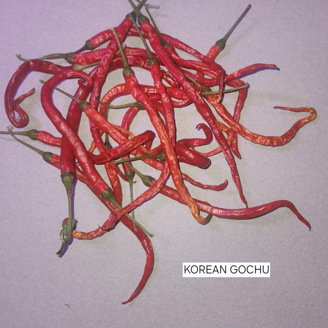 Korean Gochu Pepper Seeds - Etsy
