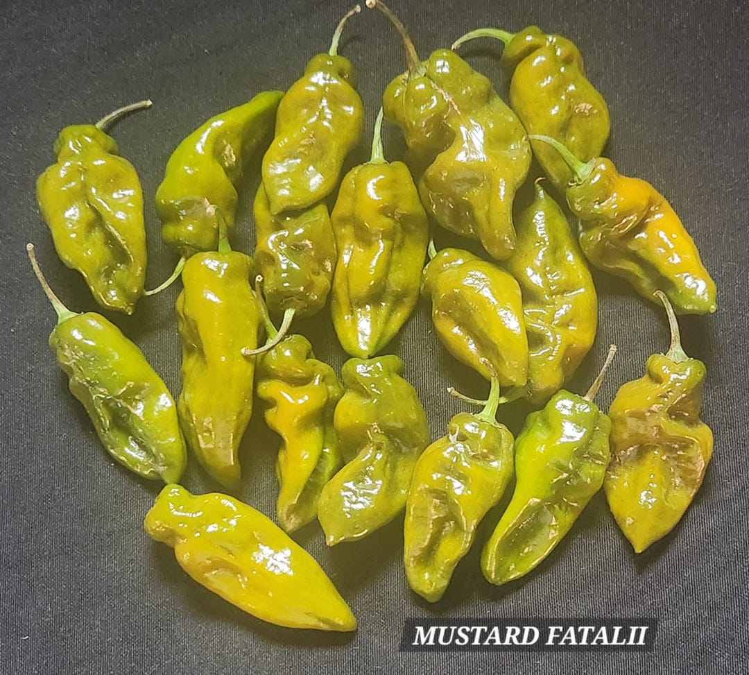 Mustard Fatalii Pepper Seeds - Etsy