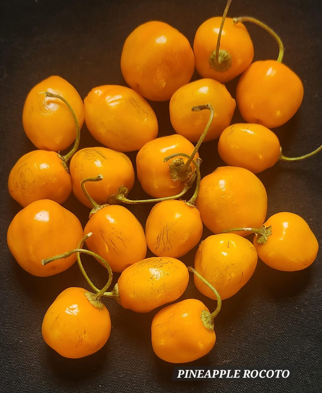 Pineapple Rocoto Pepper Seeds - Etsy