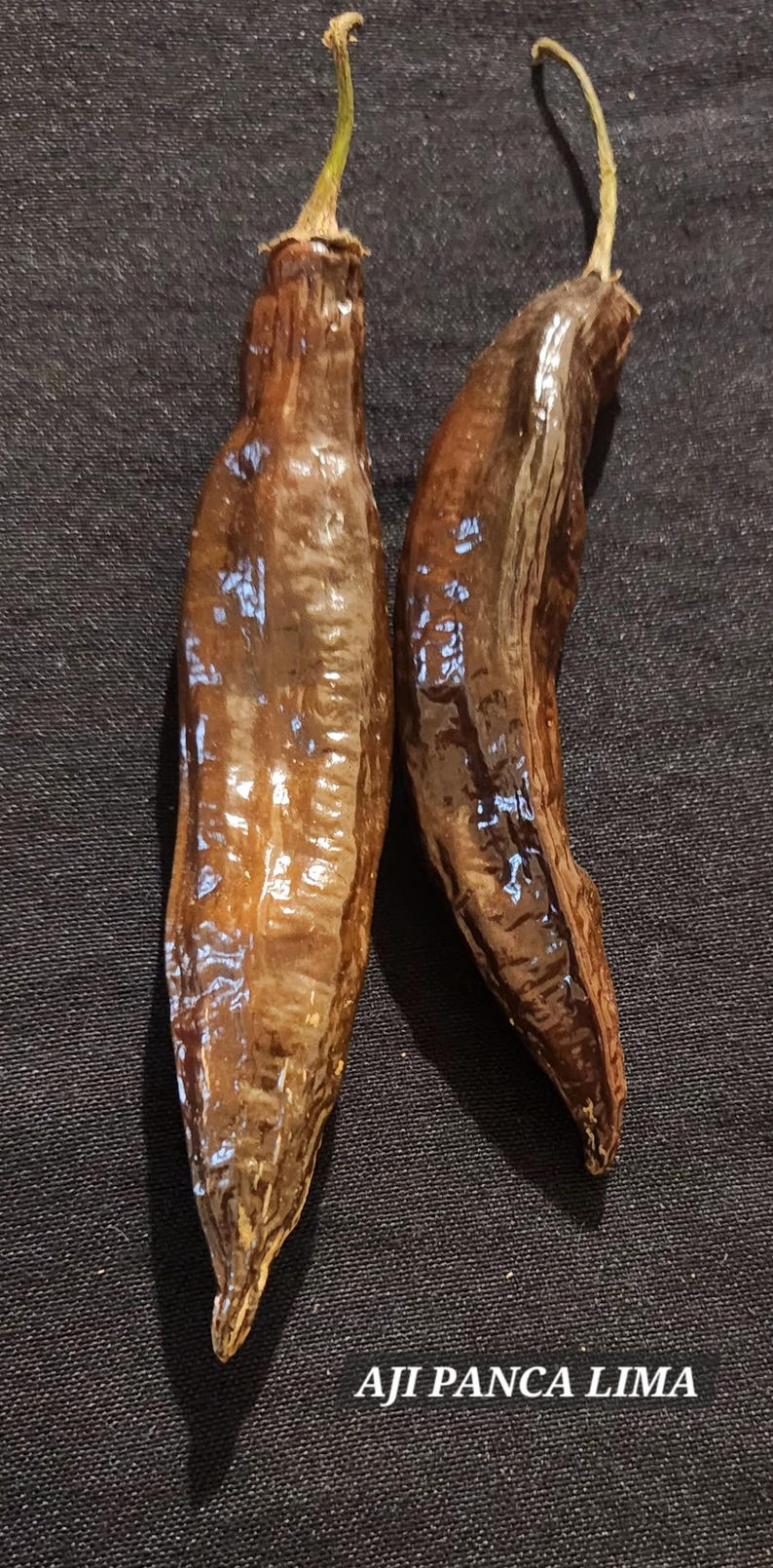 Aji Panca Lima Pepper Seeds - Etsy