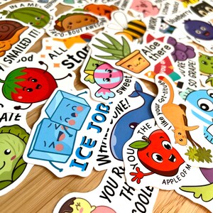 Funny Pun Sticker Pack, Affirmation Vinyl Stickers, Random Waterproof ...